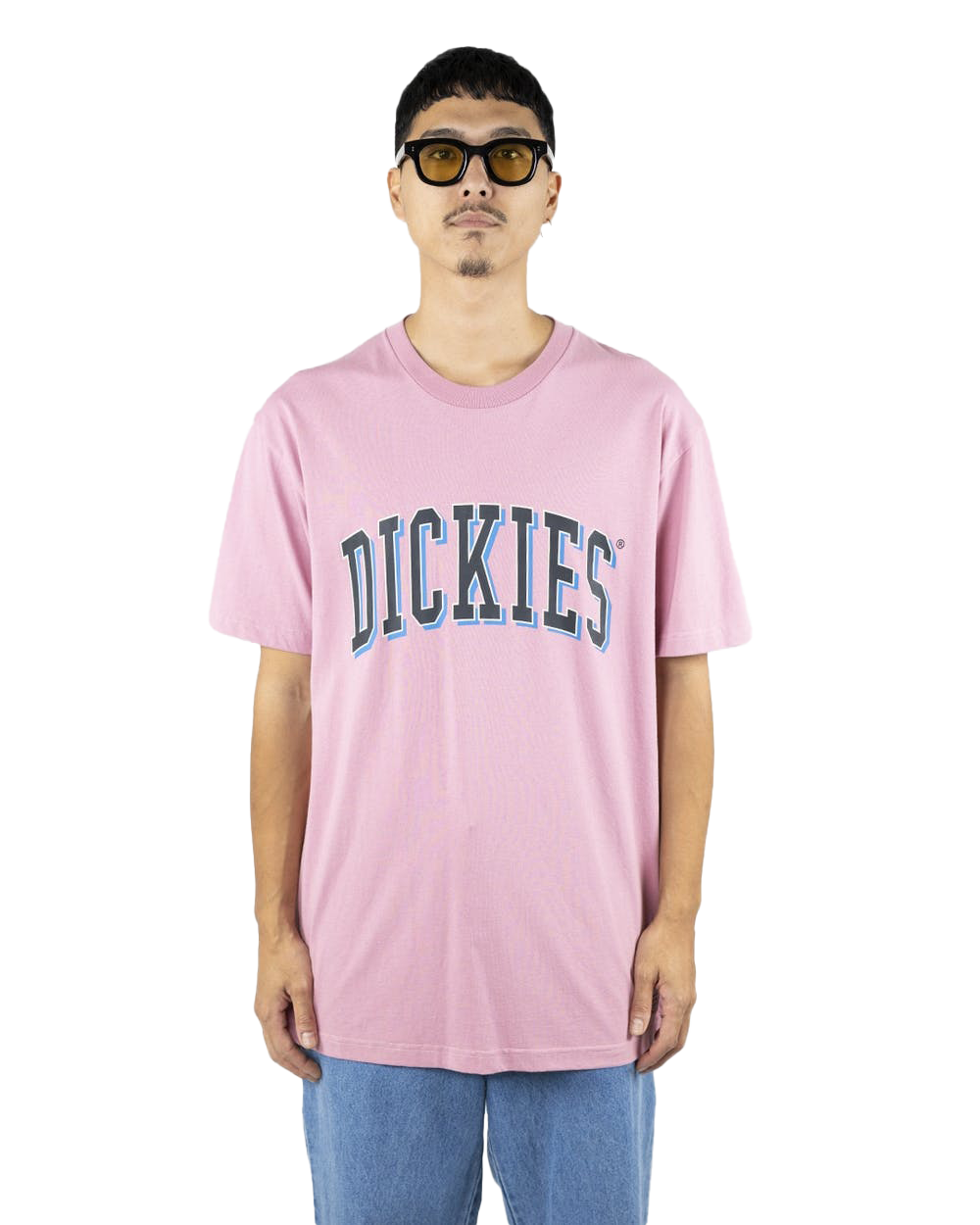 Dickies – Hughes Menswear