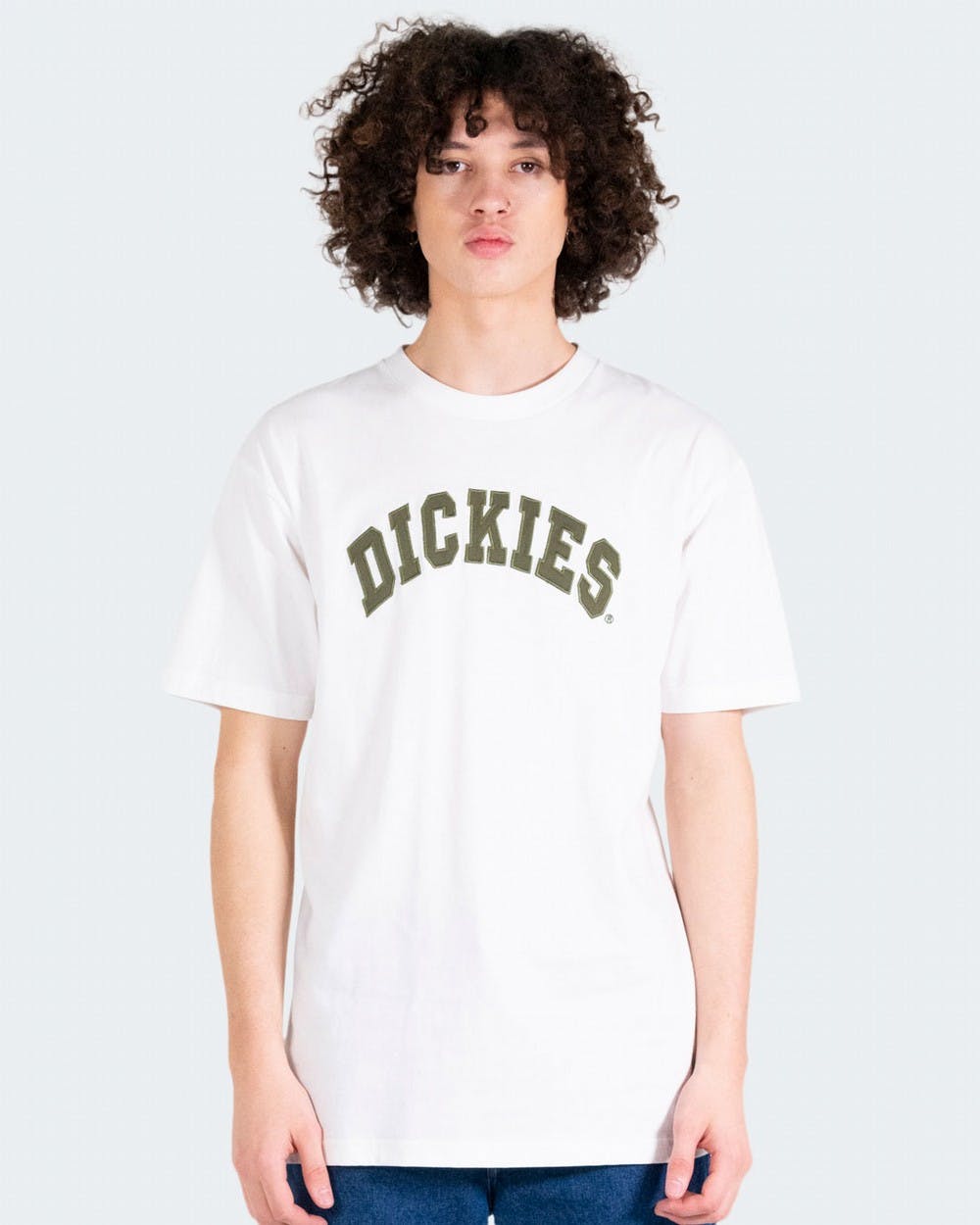 Dickies – Hughes Menswear